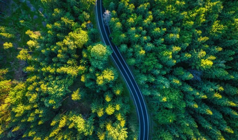 Company Car Tax on Electric Cars: Benefit in Kind (BiK) Explained ...